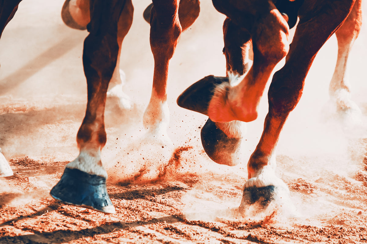 Top Picks – Finish First